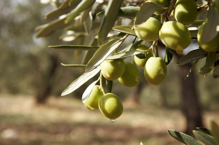 Letoviska (destinace) Řecko | CK Čedok
