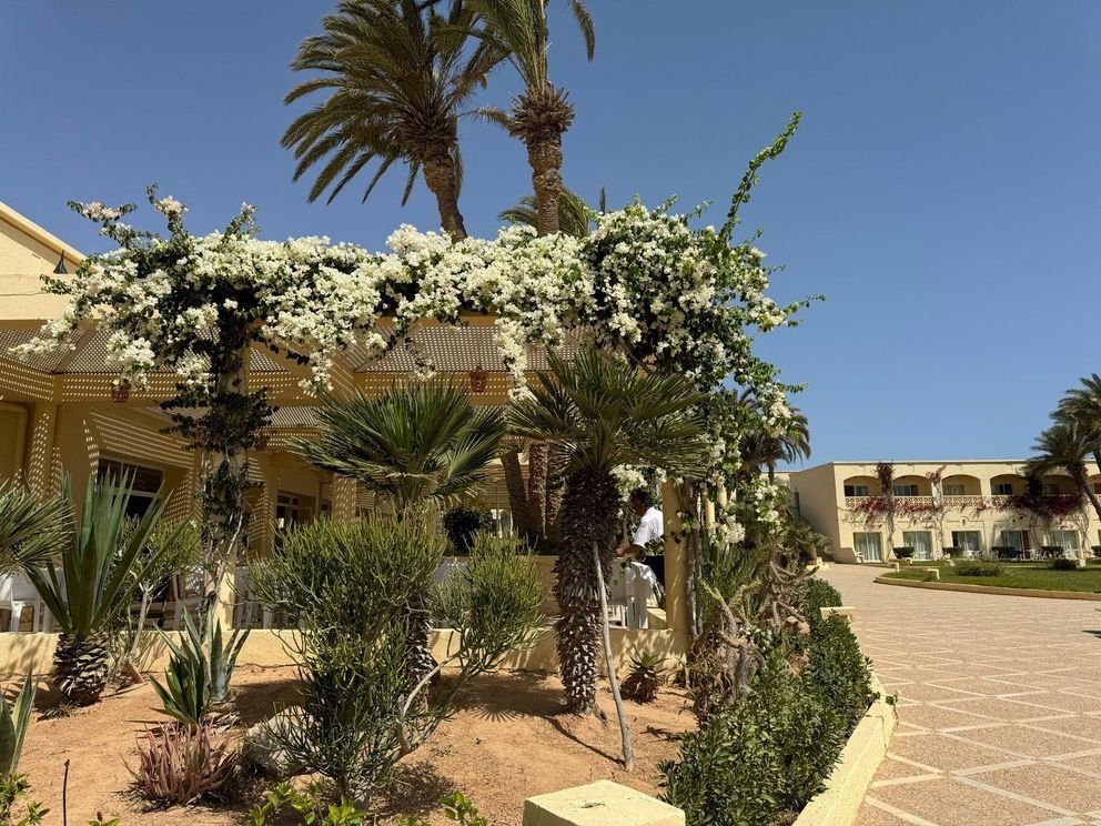 Hotel Zephir & Spa - Tunisko, Djerba, Zarzis | CK Čedok