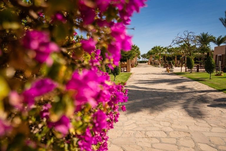 Hotel Gemma Resort - Egypt, Marsa Alam | CK Čedok