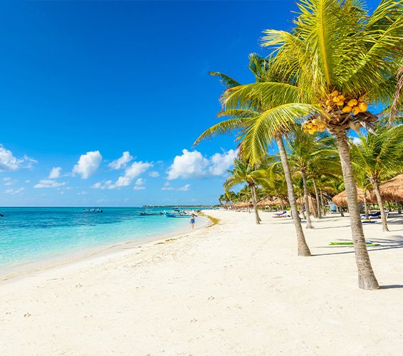 Itaka smart | ITAKA_LT