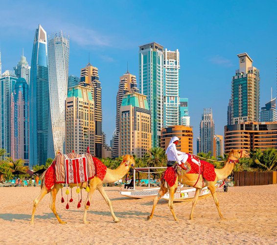 Itaka smart | ITAKA_LT