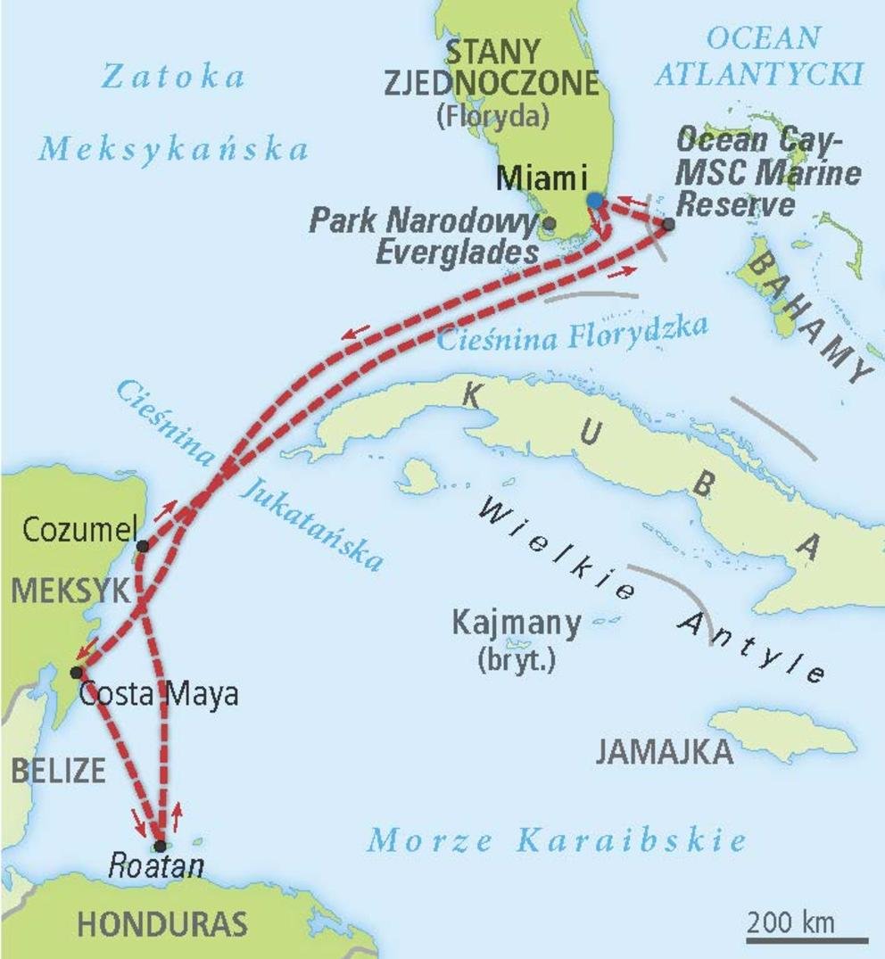 Rejs Karaiby - Meksyk, Honduras, Bahamy z Miami - MSC World America ...