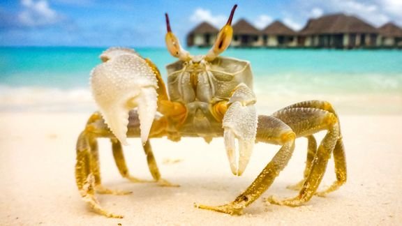 Malediwy - Wakacje, Wczasy, Wycieczki | ITAKA