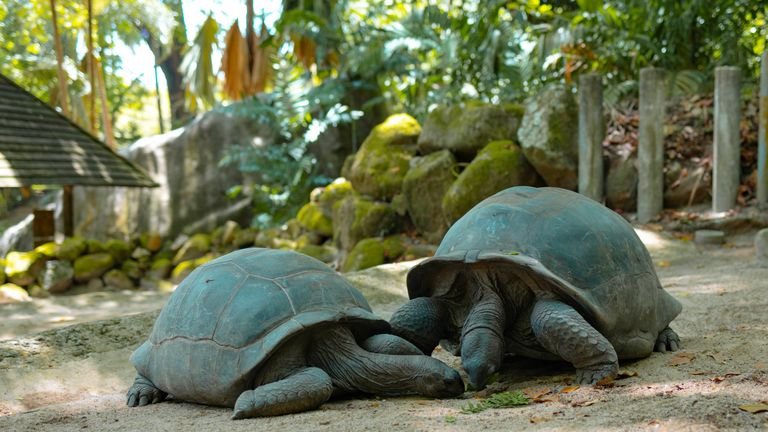 Atrakcje Seszele - co warto zobaczyć na Seszelach? | ITAKA